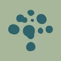 Stargazer Mushrooms: What Are They? A Guide | PNW Spore Co.