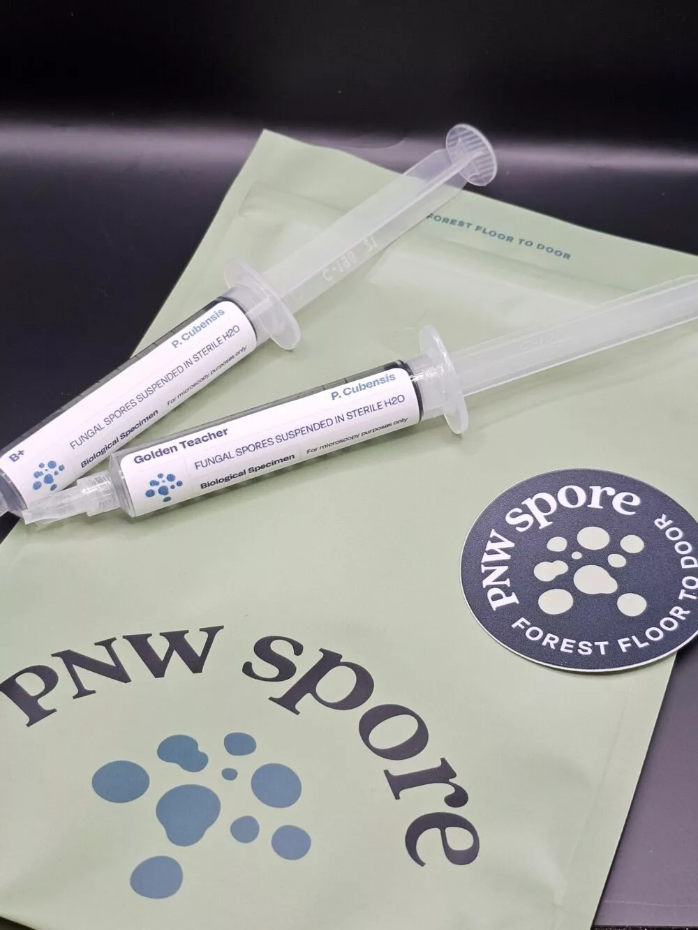 Beginner Cubensis Spore Kit | PNW Spore, Co.